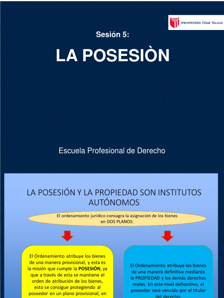 Fundamentos y Naturaleza de la Posesión | PDF | Posesión (Ley) | Propiedad