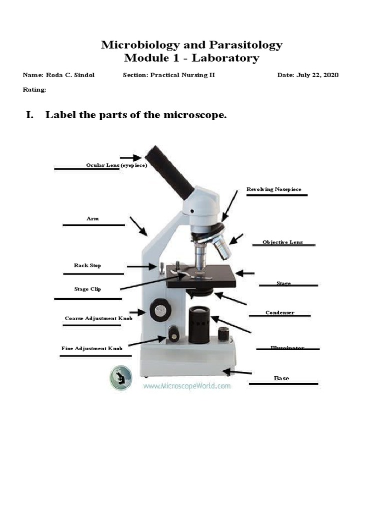 Microbiology and Parasitology Module 1 - Laboratory: I. Label The Parts ...