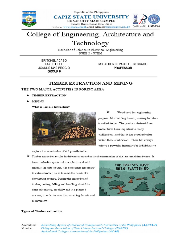 Timber Extraction and Mining | PDF | Mining | Logging