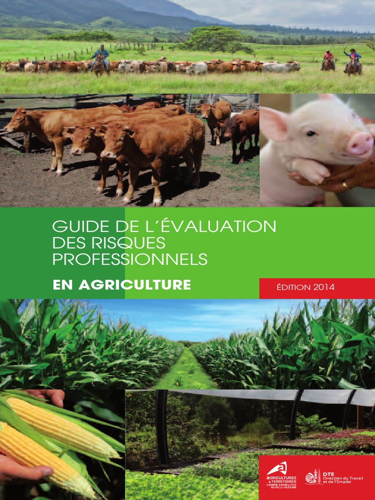 Guide Evaluation Agriculture | PDF | Prophylaxie | Sécurité