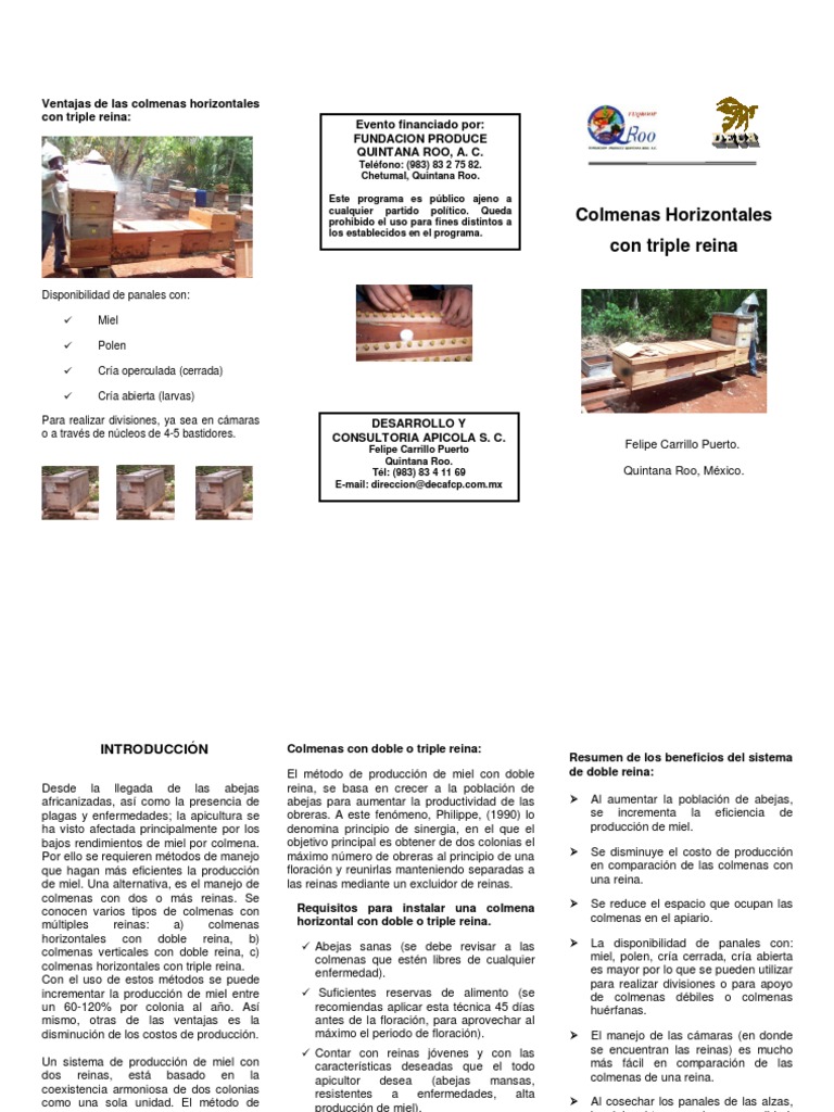 Triptico Colmena Horizontal | PDF | Colmena | Apicultura