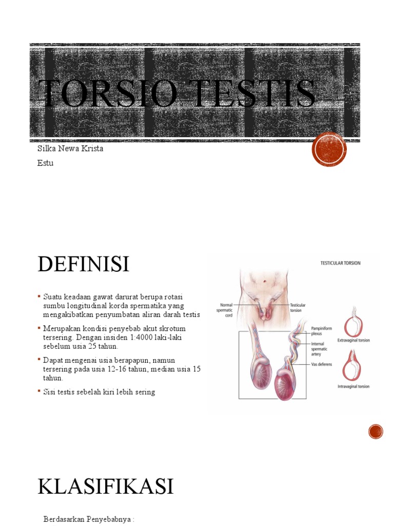 Penyebab dan Diagnosis Torsio Testis | PDF