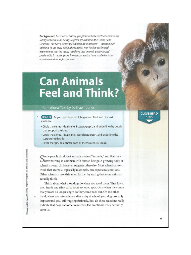 Can Animals Feel and Think | PDF
