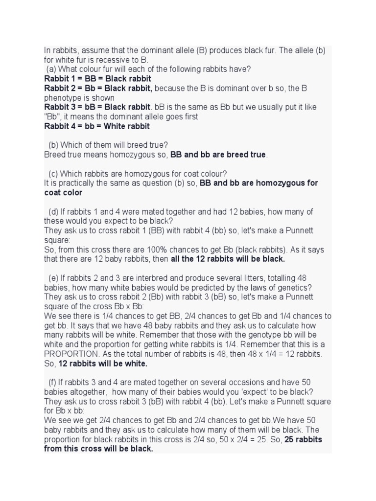 In Rabbits | PDF | Dominance (Genetics) | Allele
