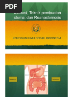 Stoma Types PDF | PDF | Gastroenterology | Medical Procedures
