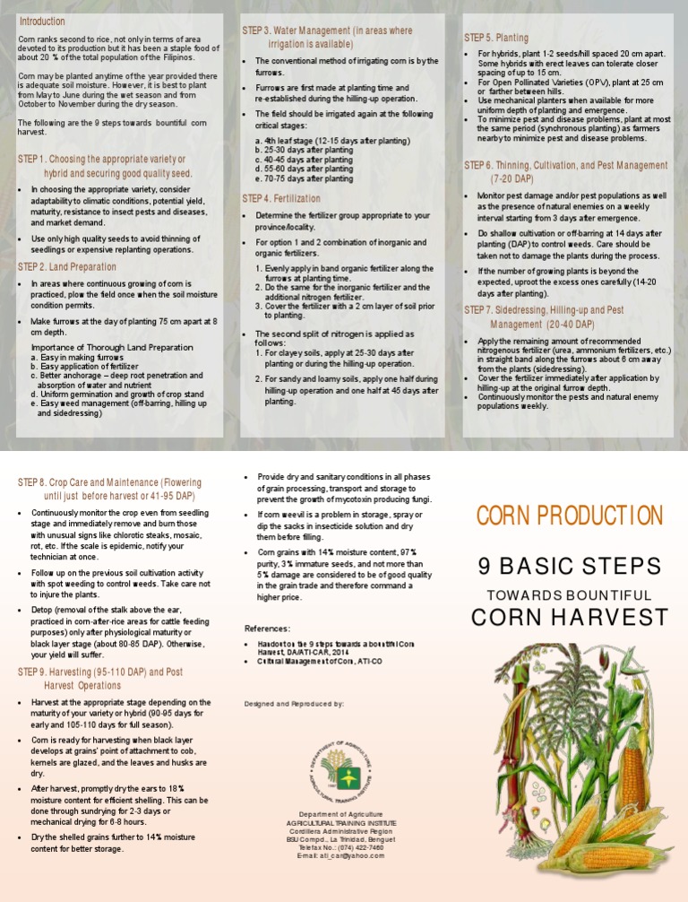 9 Basic Steps Towards A Bountiful Corn Harvest | PDF | Fertilizer | Maize