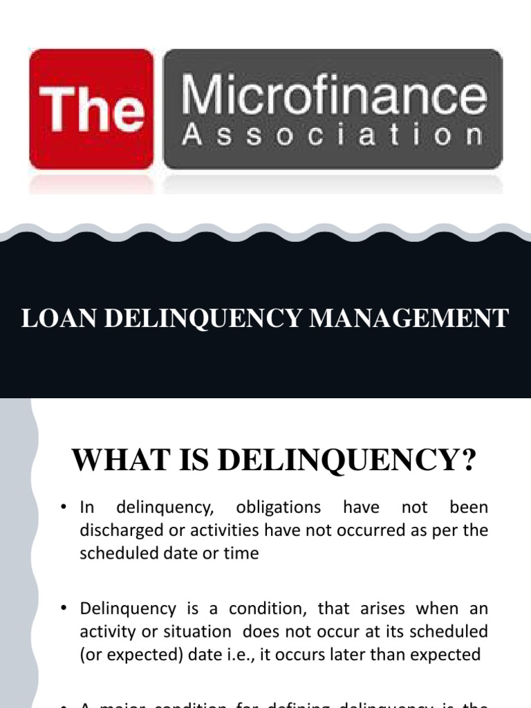 Loan Delinquency Management | Download Free PDF | Loans | Microfinance