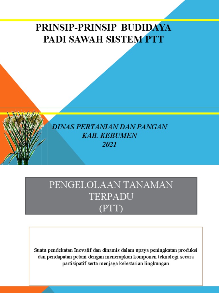 Budidaya Padi Sawah SPTT | PDF