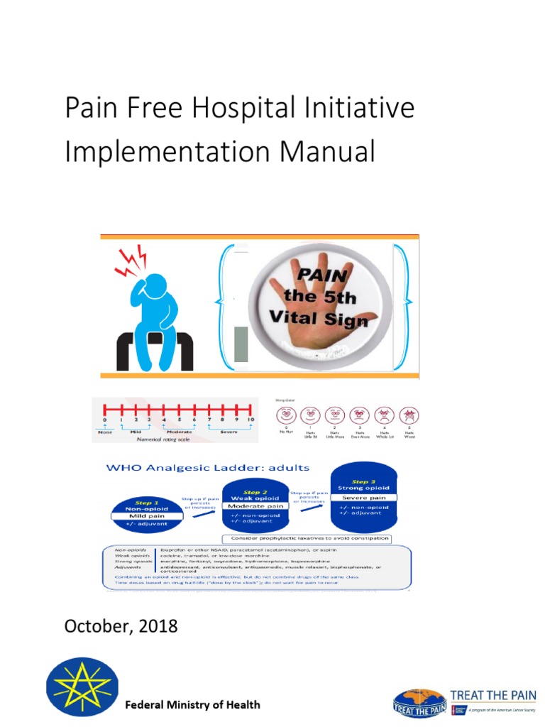 Pain Free Hospital Initiative Implementation Manual: October, 2018 ...
