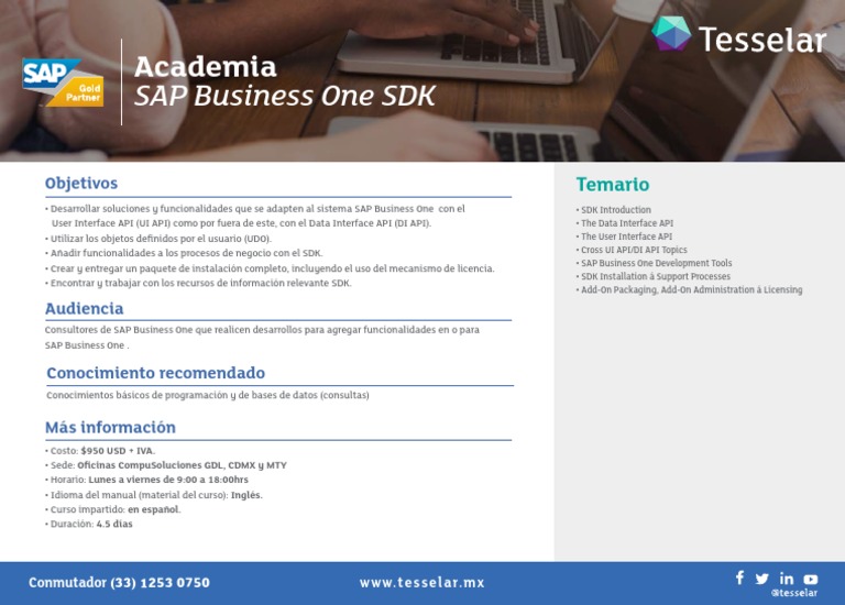 Academia SAP B1 SDK 2020 | PDF