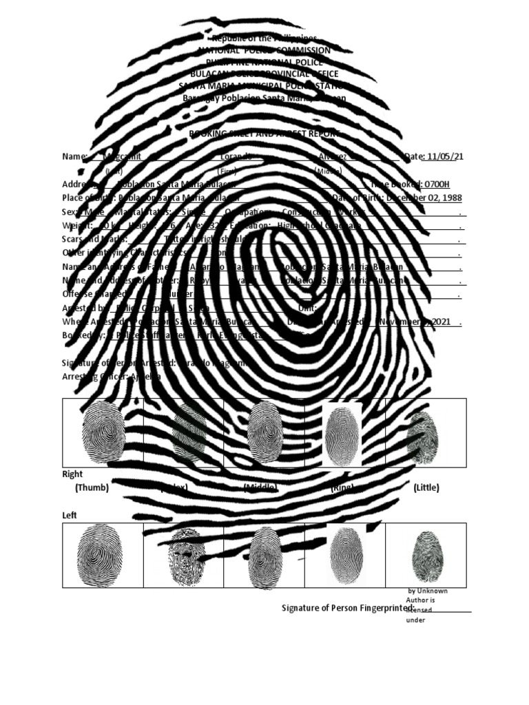 Booking Sheet and Arrest Report | PDF
