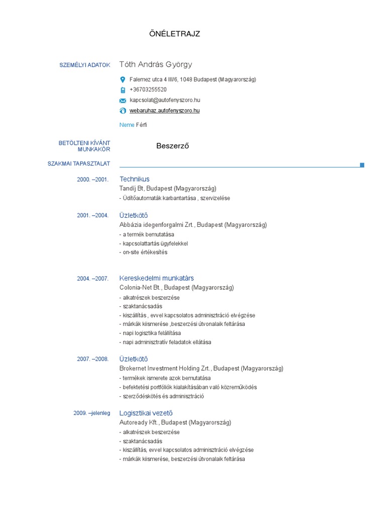 CV Template | PDF