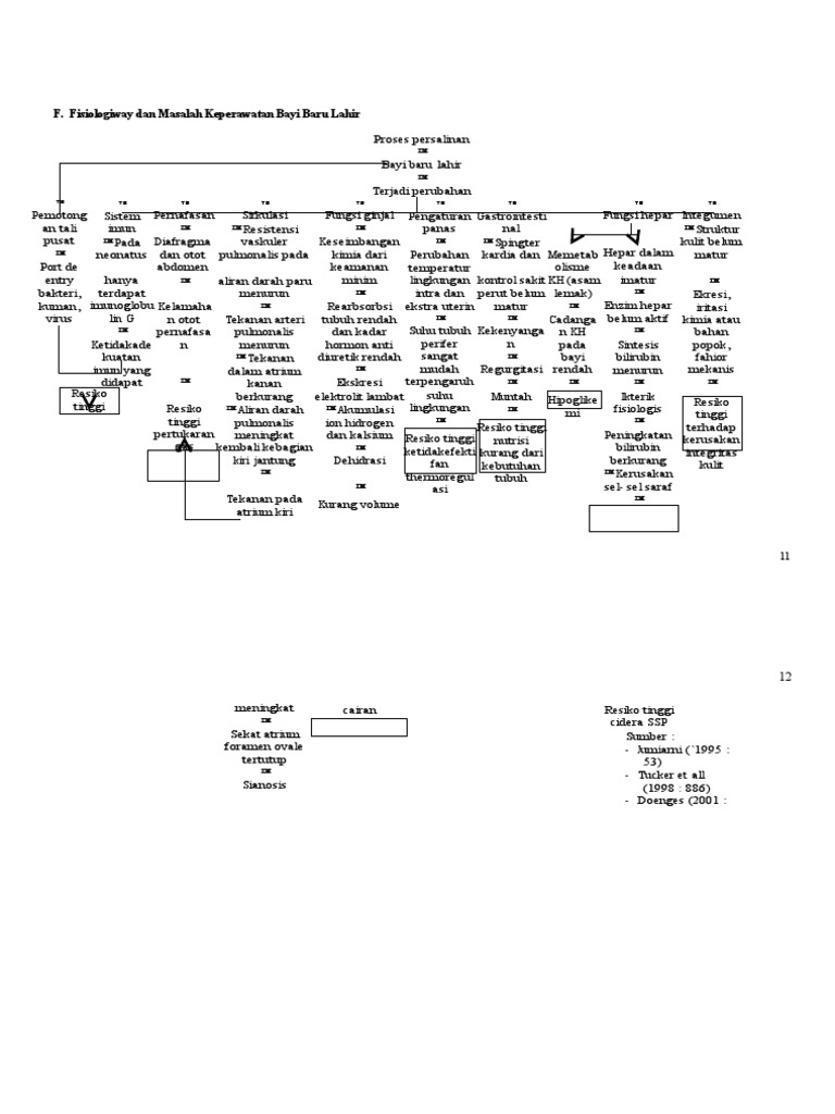 PDF Pathway Bayi Baru Lahir Compress | PDF