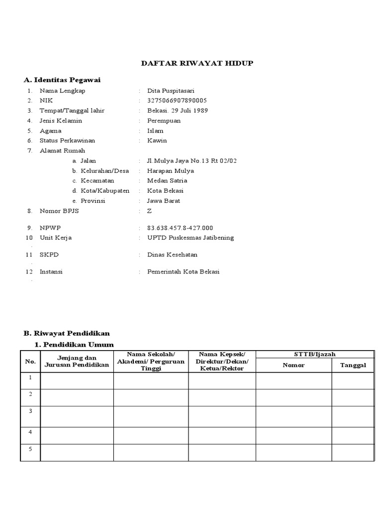 Format Isian Daftar Riwayat Hidup TKK | PDF