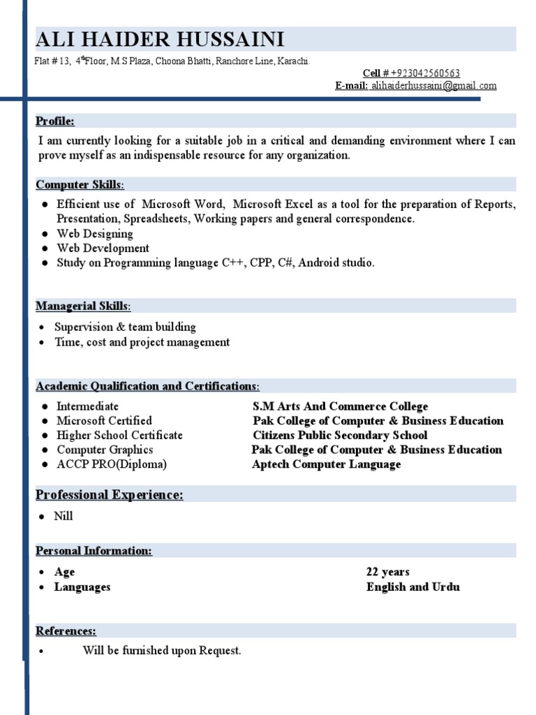Ali Haider Hussaini: Cell # E-Mail | PDF | Career & Growth