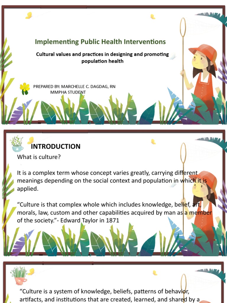 Implementing Public Health Interventions | PDF | Health Care ...