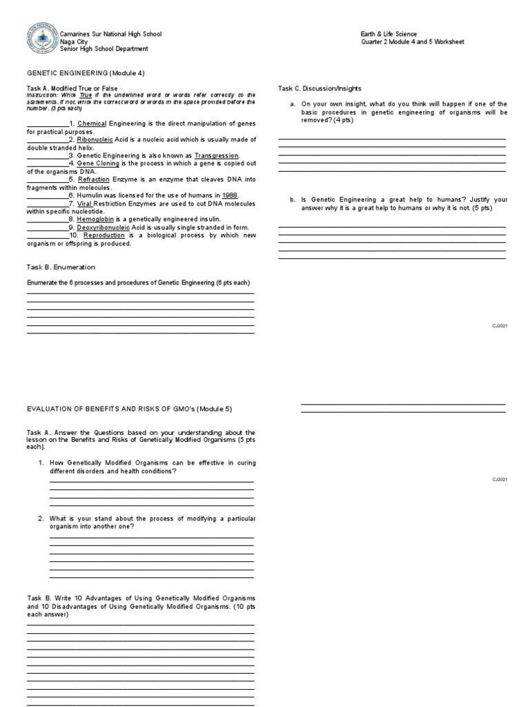 Genetic Engineering Activity Worksheet | PDF | Genetics | Genetic ...