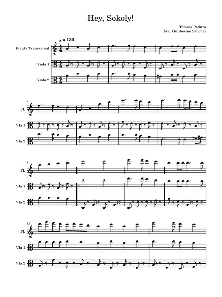 Hey, Sokoly! Sheet Music Arrangement | PDF