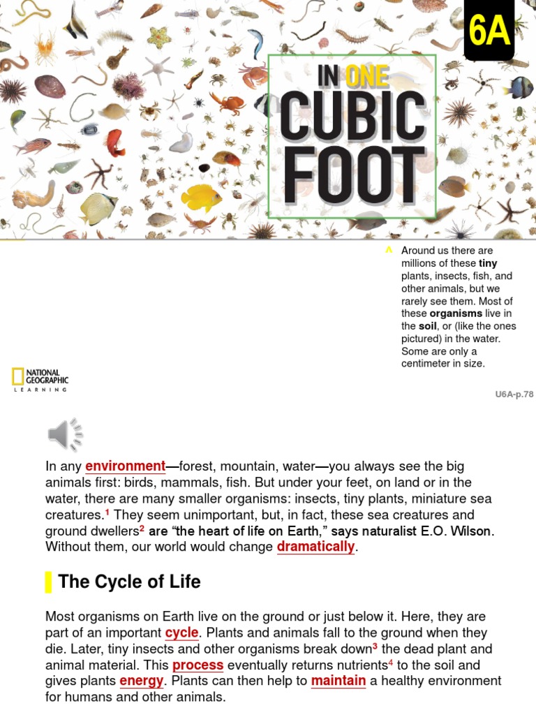 Book 1 - Unit 6 | PDF | Bacteria | Virus