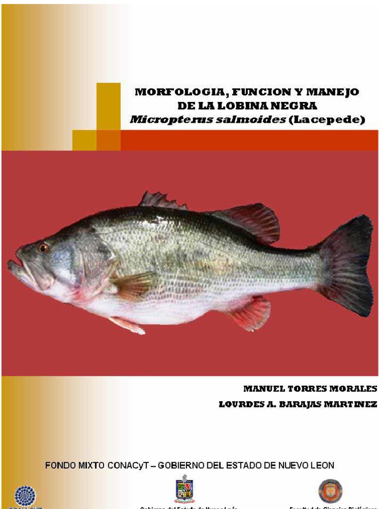 Morfología Función Y Manejo De La Lobina Negra Micropterus Salmoides