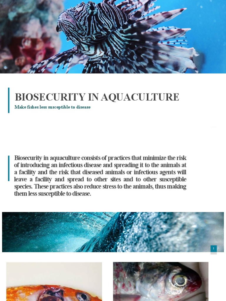 Biosecurity in Aquaculture | PDF | Disinfectant | Infection