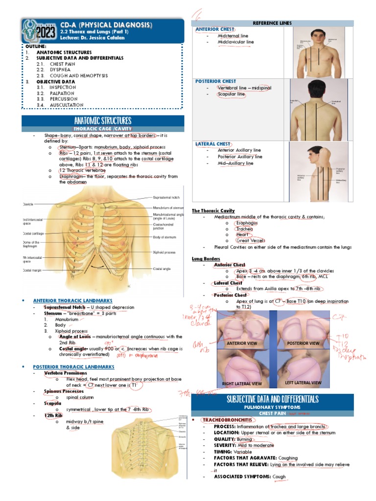 Reference Lines: Anterior Thoracic Landmarks | PDF | Thorax | Cough