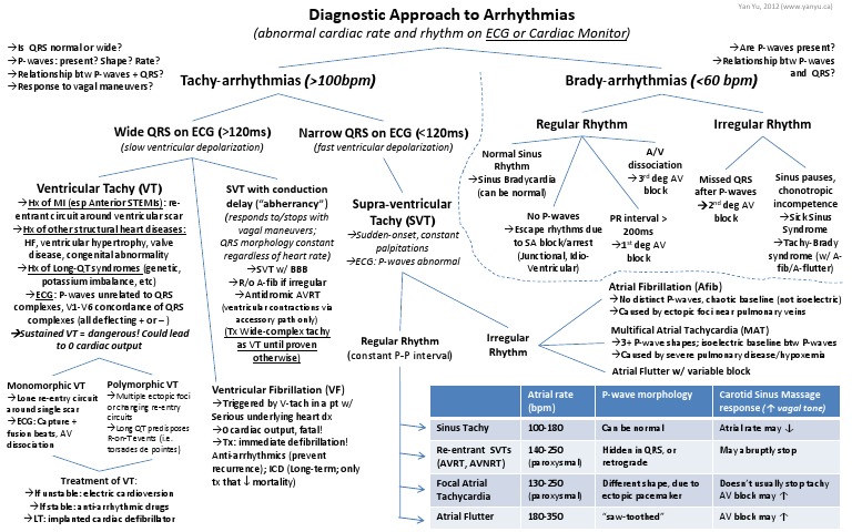 Approach To Arrhythmias | PDF | Cardiology | Physiology
