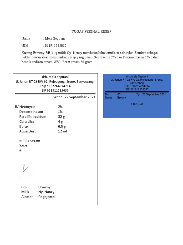 Tugas Perihal Resep 2 - Mela Septiani - 061911535030 | PDF