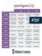 Yks Tyt Esit Agirlik Calisma Programi 1 Ay | PDF