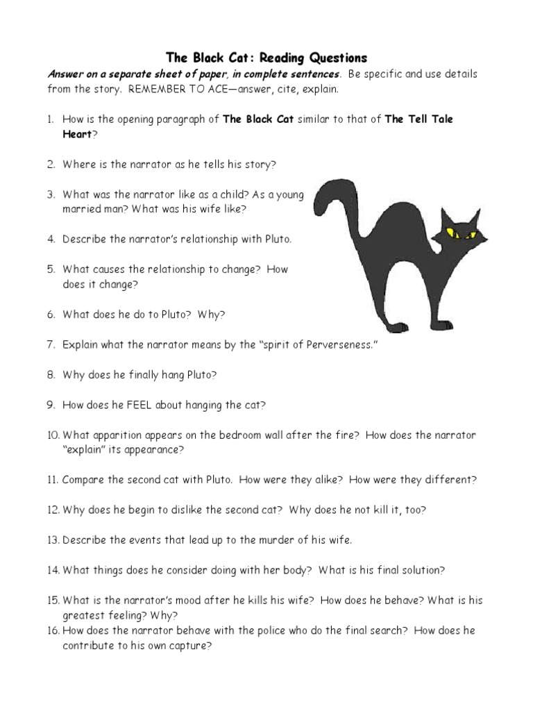 The Black Cat: Reading Questions: Heart? | PDF