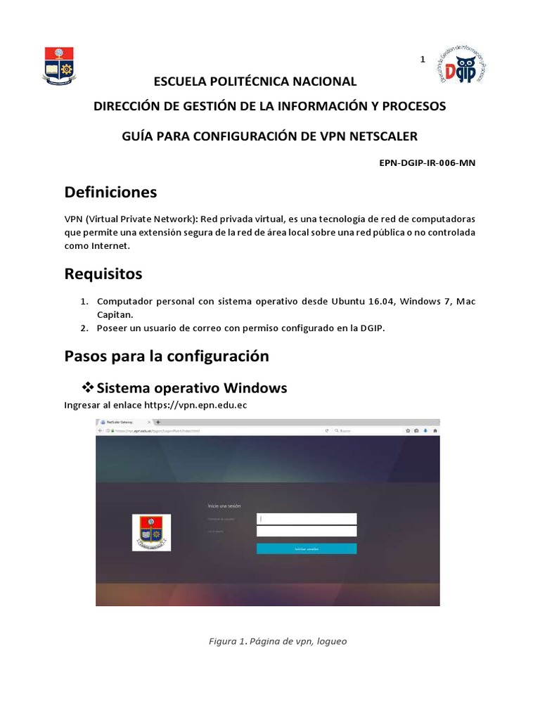 Manual VPN Netscaler | PDF | Finanzas y dinero | Tecnología