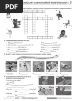 Tiger 3 TRF Unit 3 Catch-Up Grammar | PDF
