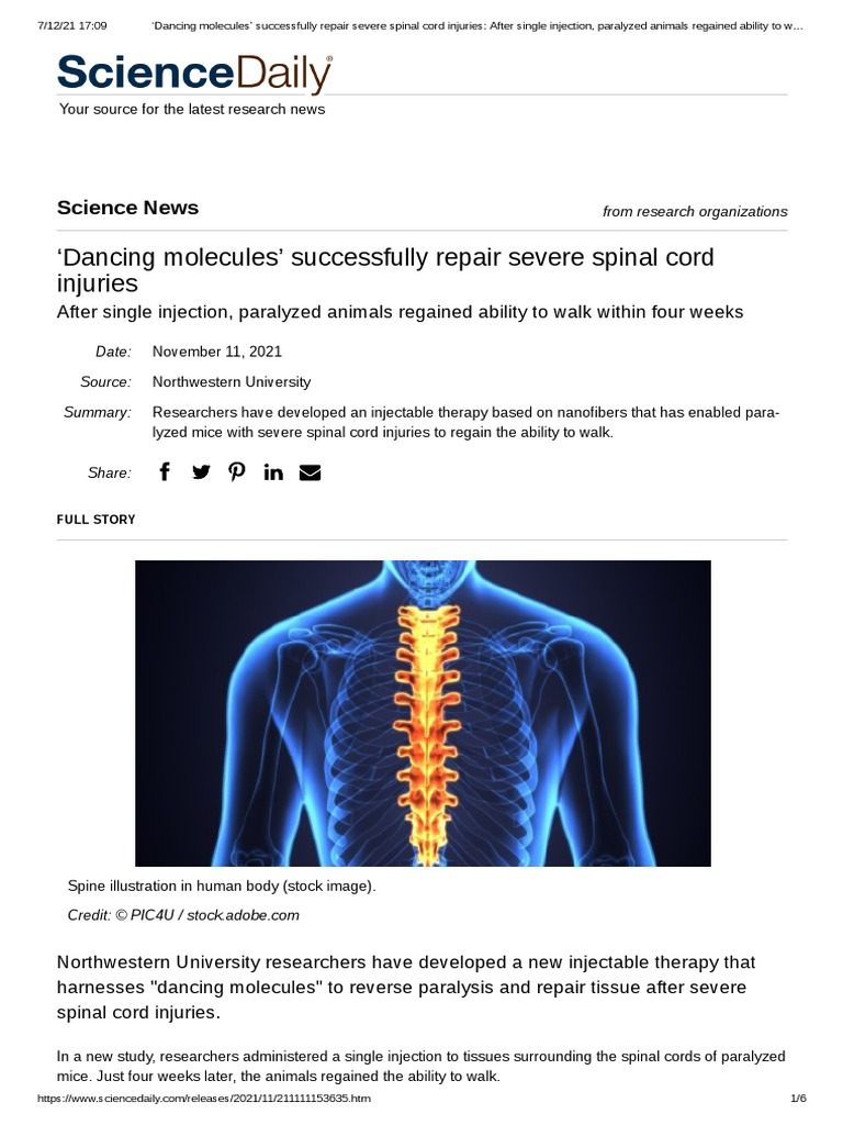 Dancing Molecules' Successfully Repair Severe Spinal Cord Injuries ...