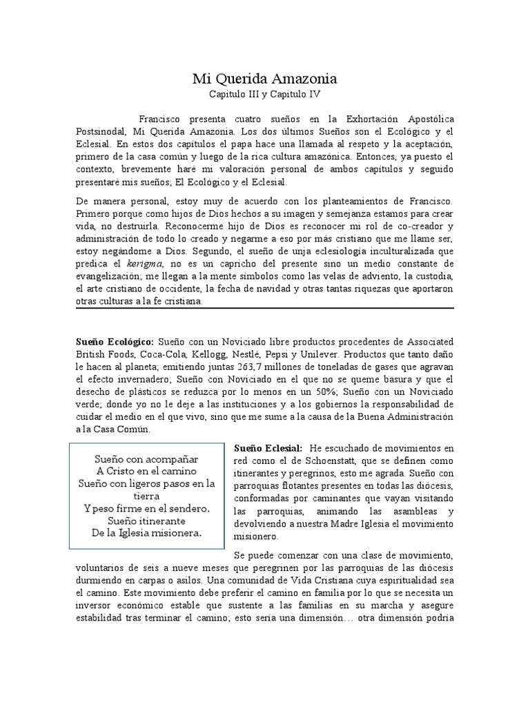 Mi Querida Amazonia | Descargar gratis PDF | Iglesia Católica