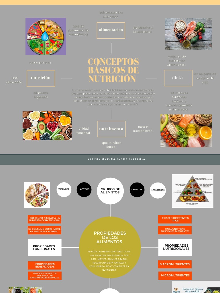 Conceptos Básicos de Nutrición | PDF | Dieta y nutrición | Nutrición