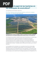 QUIMIOTROFOS | PDF | Sustancias químicas | Biología