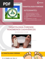 CAPÍTULO 17 - Prurigo Por Insectos (Cimiciasis) | PDF | Insecticida ...