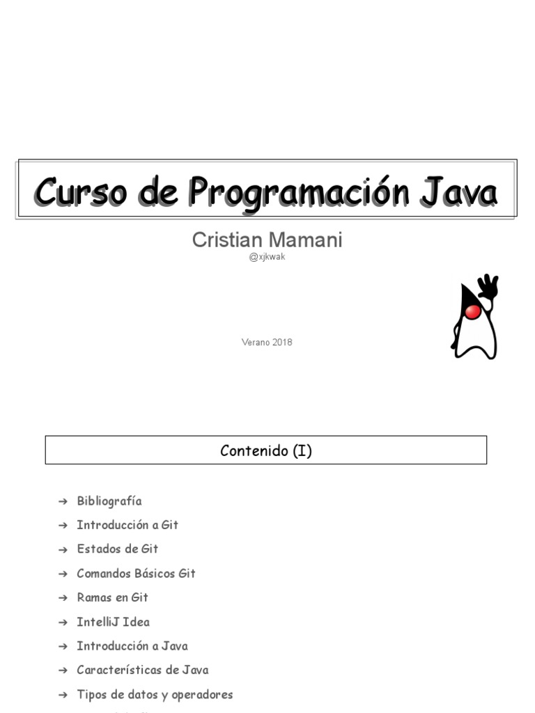 Curso de Programación Java | PDF | máquina virtual de Java | Java (lenguaje de programación)
