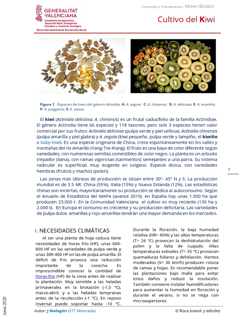Guía Completa para Cultivar Kiwis | PDF | Fertilizante | Plantas
