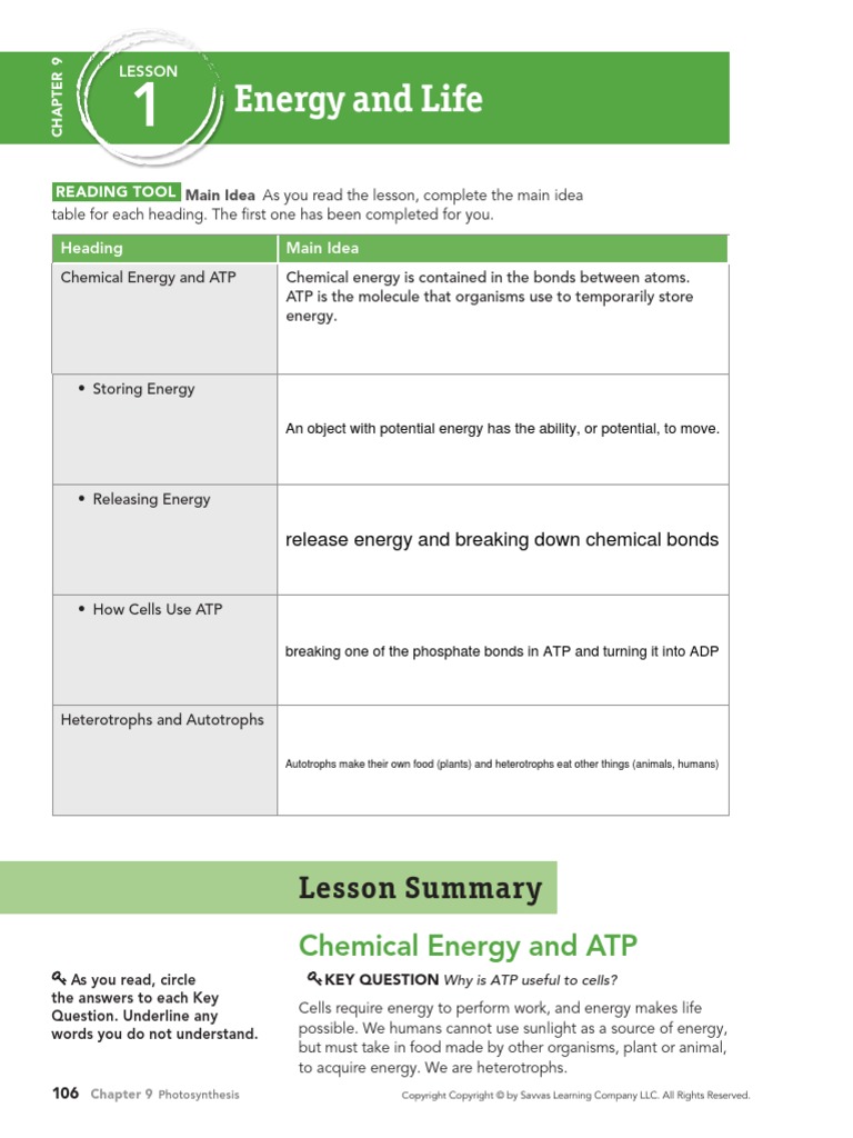 Energy and Life: Lesson Summary | PDF | Adenosine Triphosphate ...