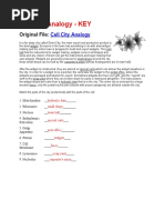 Dna Replication Storyboard | PDF