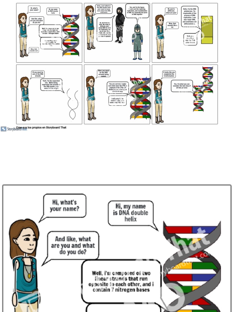 Dna Replication Storyboard | PDF