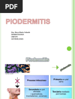 Guía Completa sobre Piodermitis | PDF | Septicemia | Enfermedades y ...