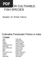 Gundhi Bug Zoo | PDF | Rice | Insects