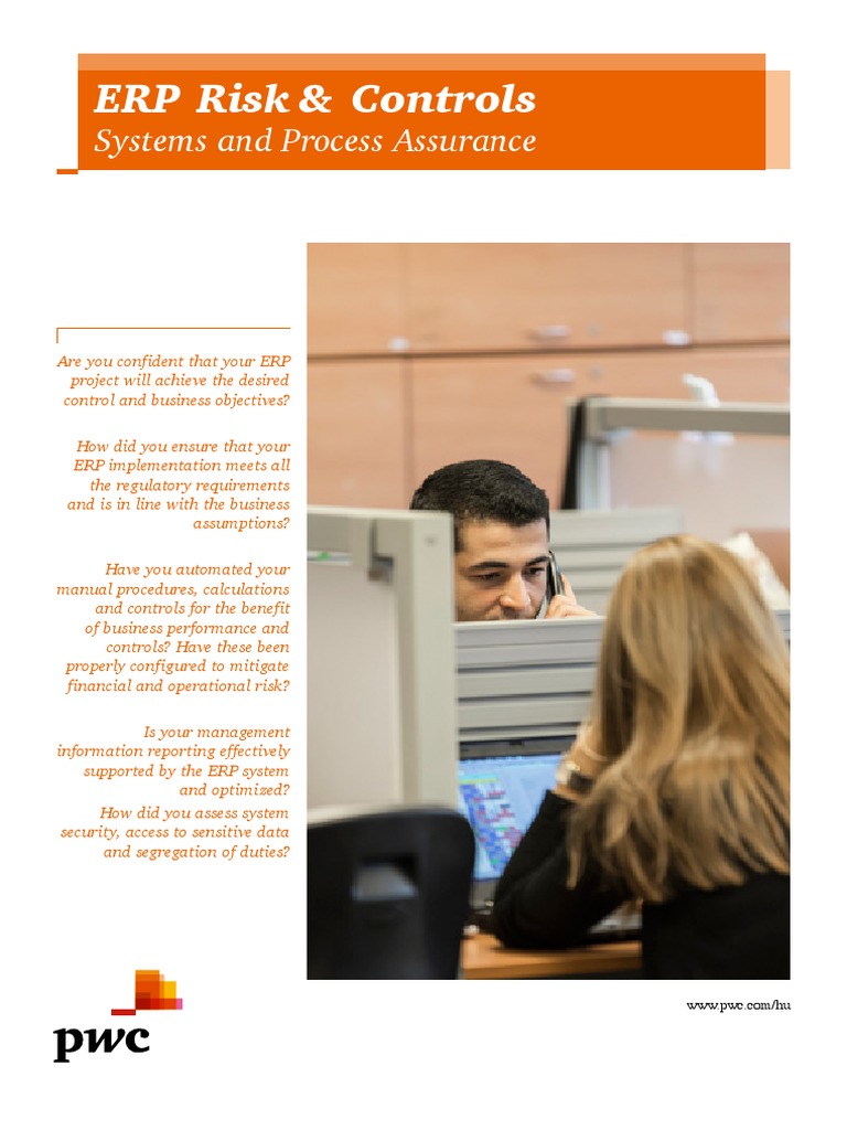 ERP Risk and Control Optimization Guide | PDF | Enterprise Resource ...