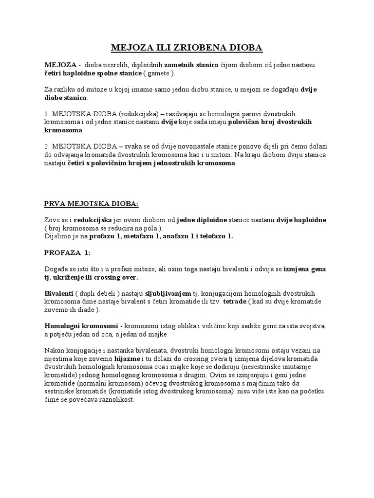 Mejoza | PDF