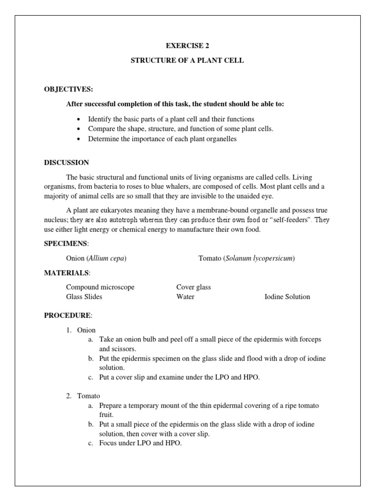 Plant Cell Structure and Observation | PDF | Cell (Biology) | Onion
