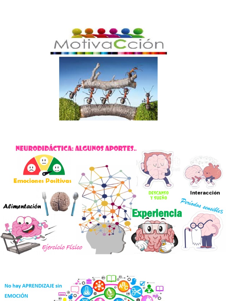 Clase Magistral 2 | PDF | Aprendizaje | Memoria