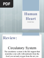 Structure of human heart PPT | PDF