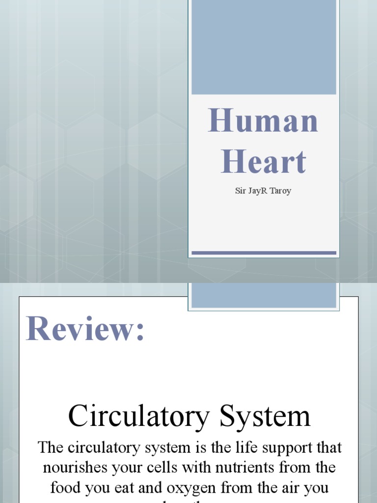 Human Heart | PDF | Atrium (Heart) | Heart
